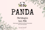 PANDA Strategie bei PDA – Infinity Butterfly